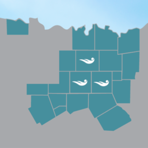 Recovery Resource Council